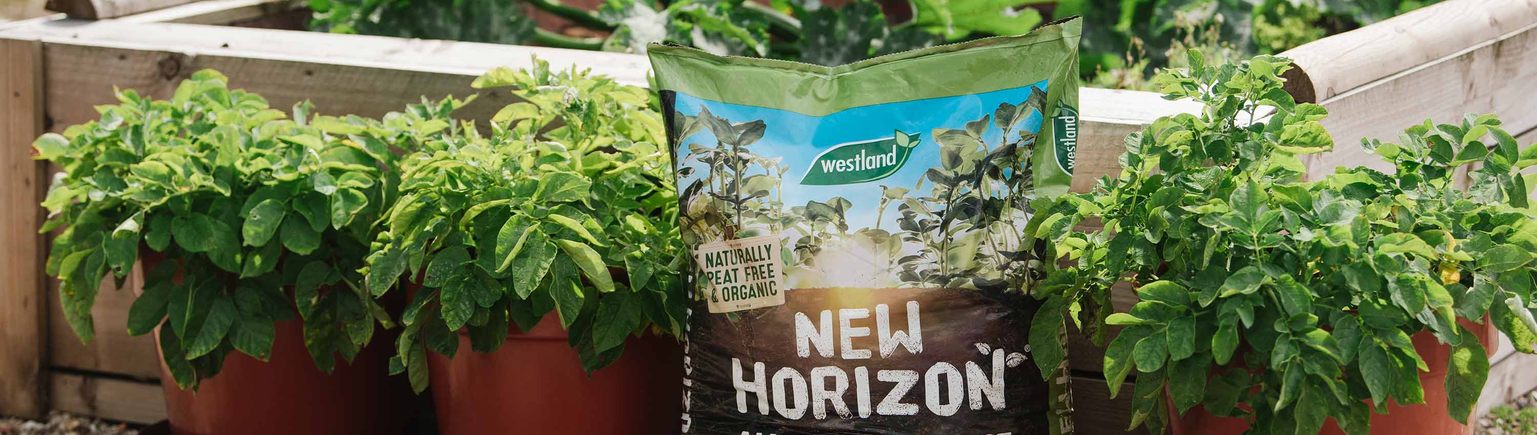 Westland – Marshalls Garden