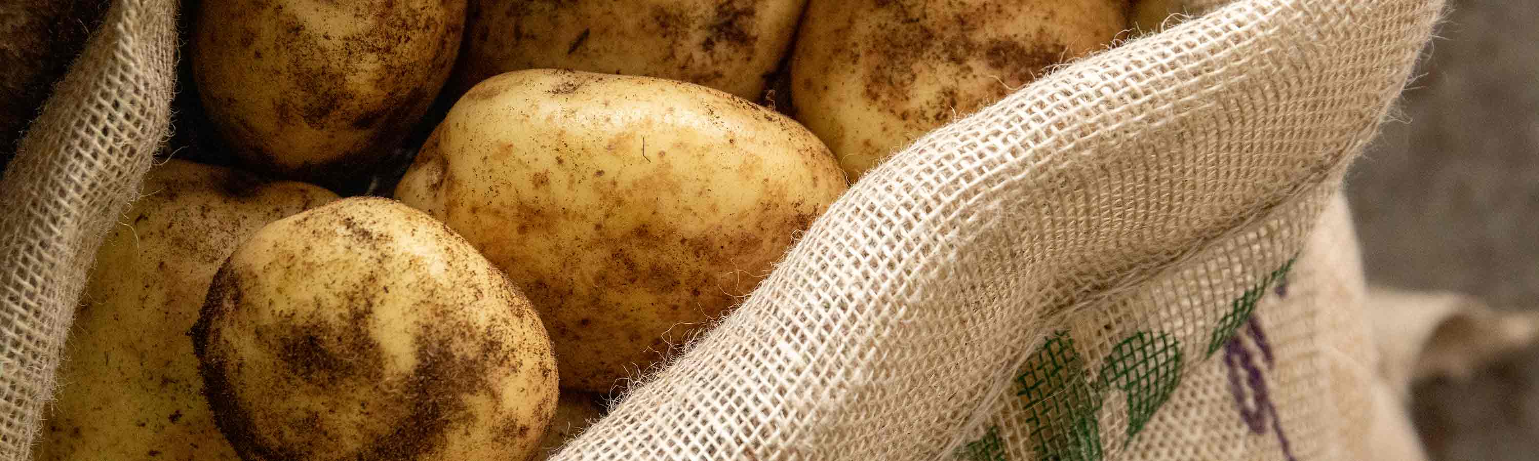 Summer Planting Potatoes | Buy Summer Planting Potatoes Online | Summer ...
