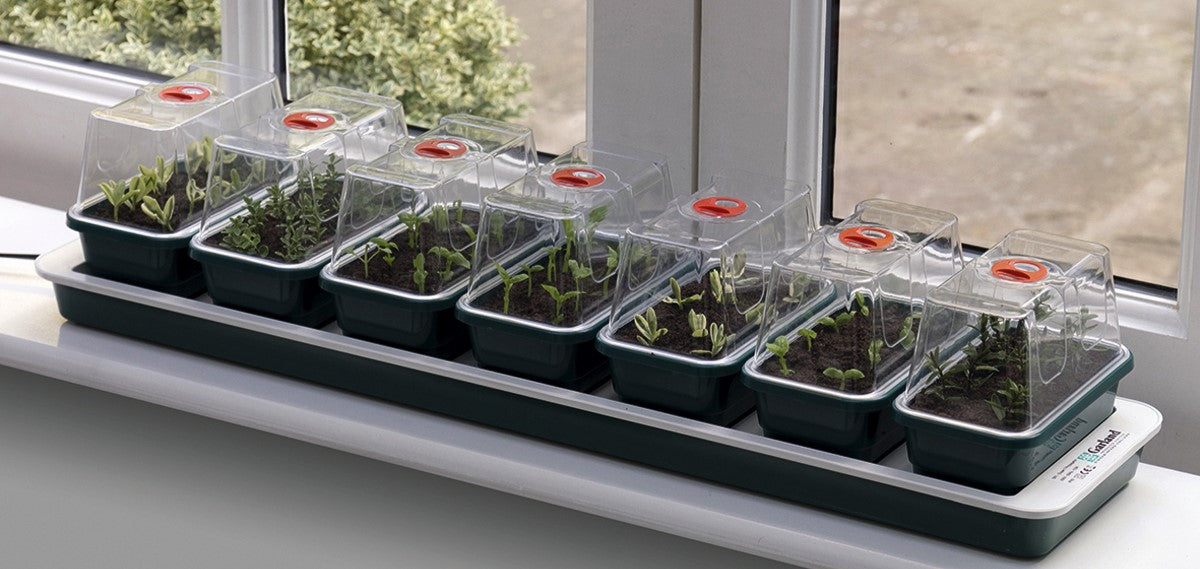 Propagators | Buy Propagators Online | Propagators For Sale | Marshalls ...