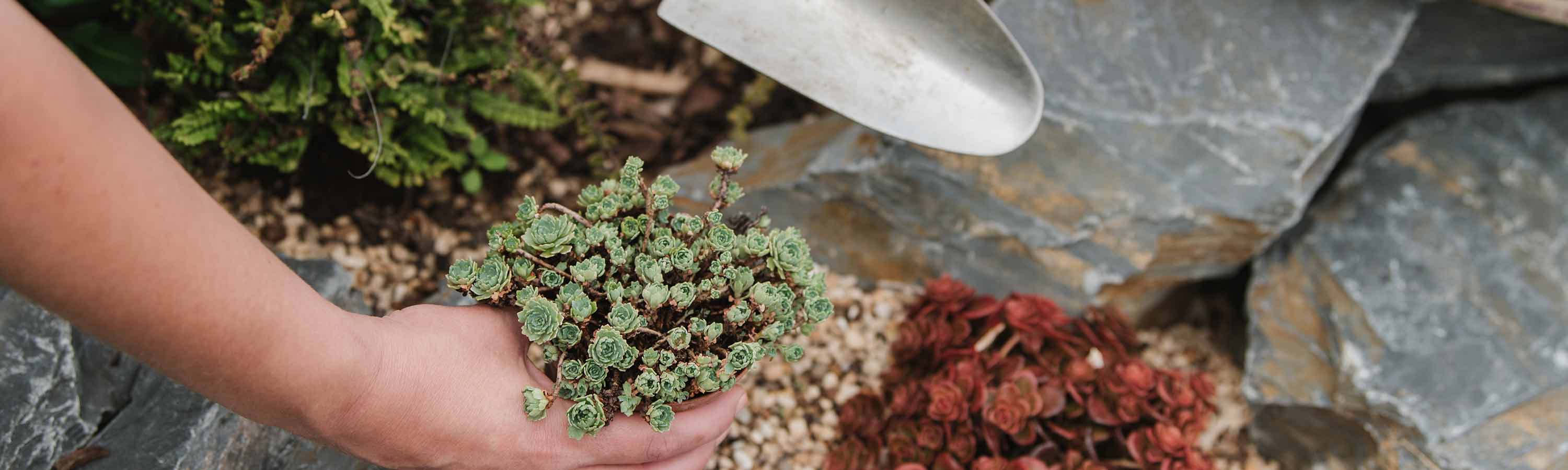 Alpine Compost | Buy Alpine Compost Online | Alpine Compost For Sale ...