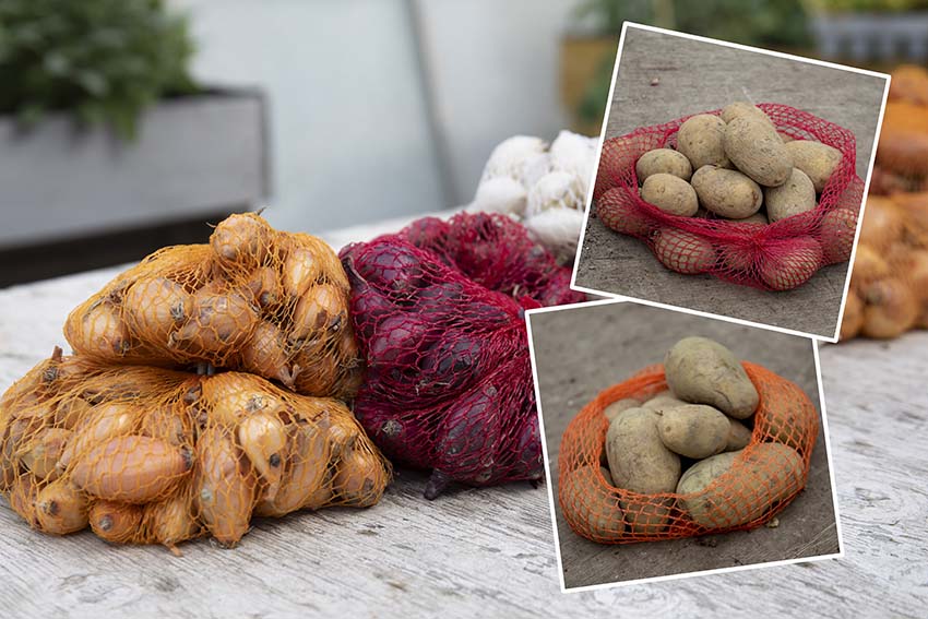 Potatoes and Onions Shallots Garlic Offer – Marshalls Garden
