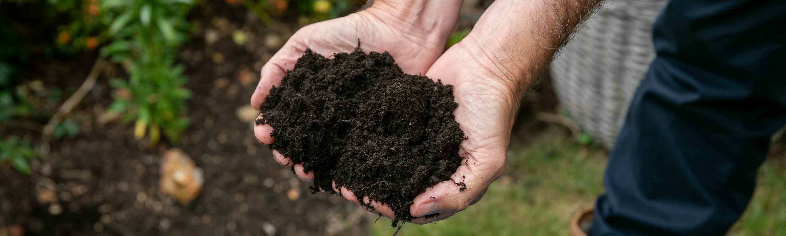 Jack's Magic – Marshalls Garden