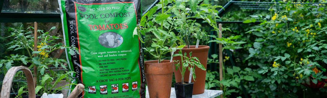 Tomato Compost | Buy Tomato Compost Online | Tomato Compost for Sale ...