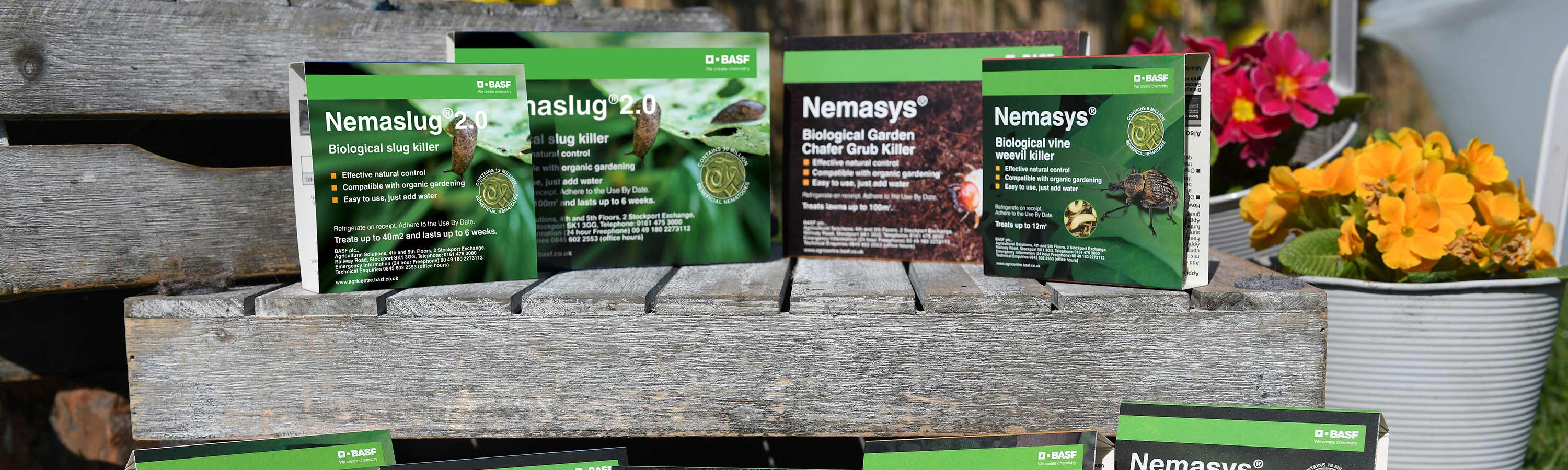Nematodes | Nematodes for Sale | Buy Nematodes Online | Marshalls Garden