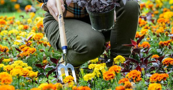 Short and Mid-Handled Tools | Buy Short and Mid-Handled Tools Online ...