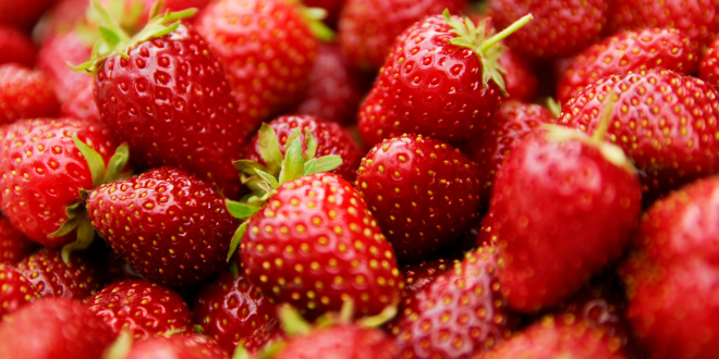 Strawberry Collections | Buy Strawberry Collections Online | Strawberry ...