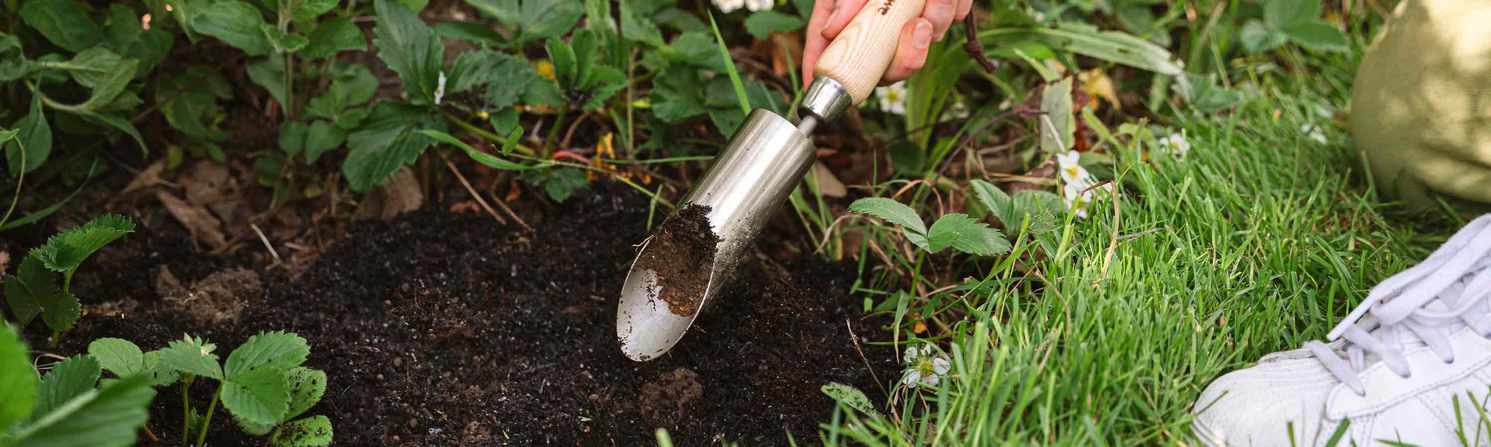 Bulb Planters – Marshalls Garden