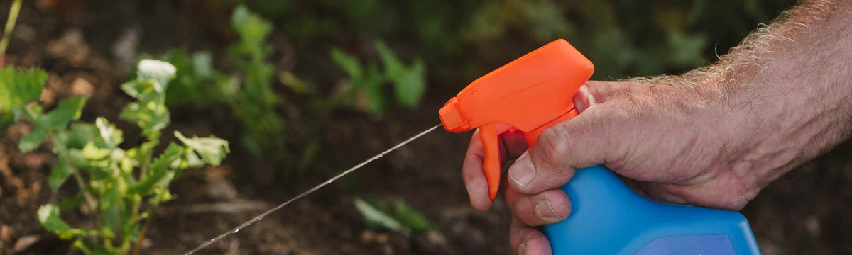 Beds & Borders Weed Control | Buy Beds & Borders Weed Control Online ...