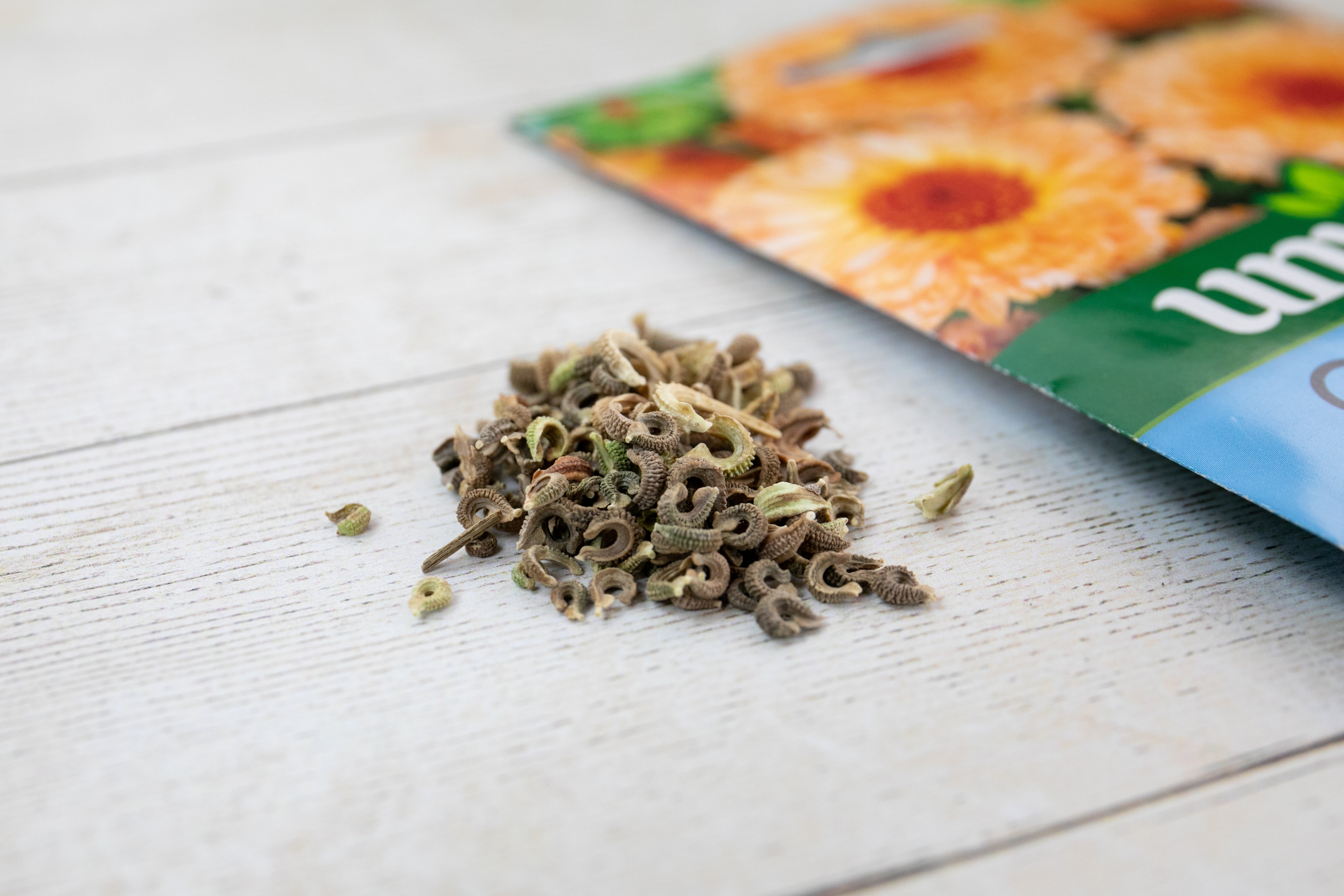 New Seeds | Buy New Seeds Online | New Seeds for Sale | Marshalls Garden