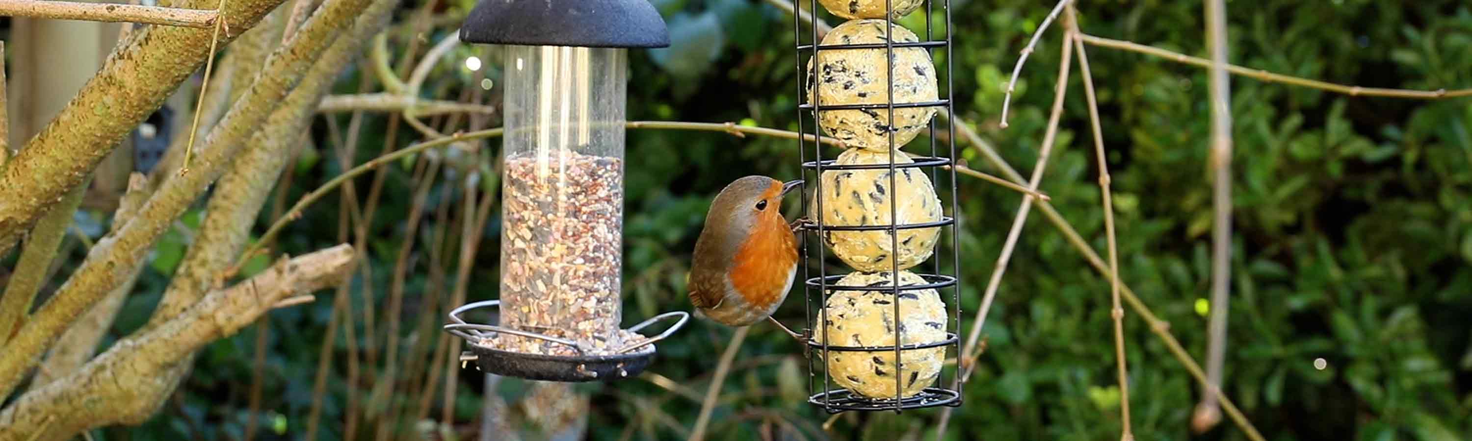 Bird Food | Buy Bird Food Online | Bird Food for Sale | Marshalls Garden