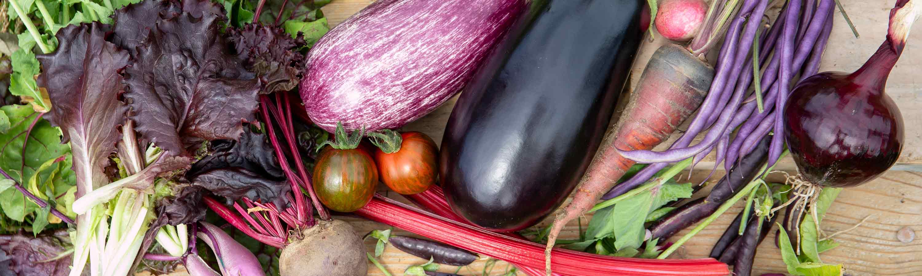Vegetable Plants Available Now – Marshalls Garden