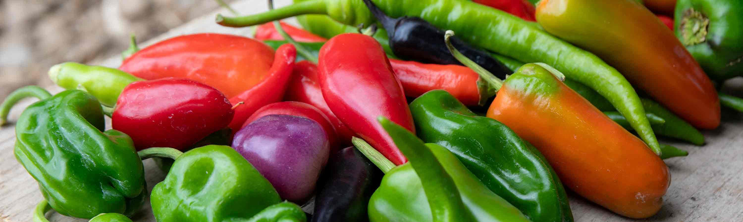 Chilli & Pepper Plants – Marshalls Garden