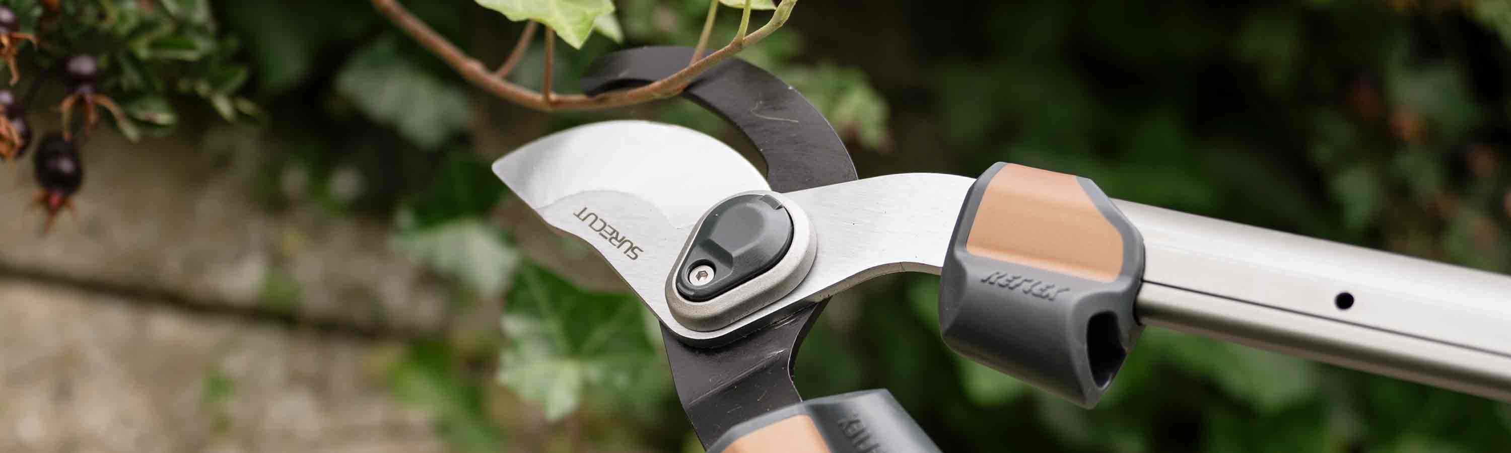 Cutting & Pruning Tools | Buy Cutting & Pruning Tools Online | Cutting ...