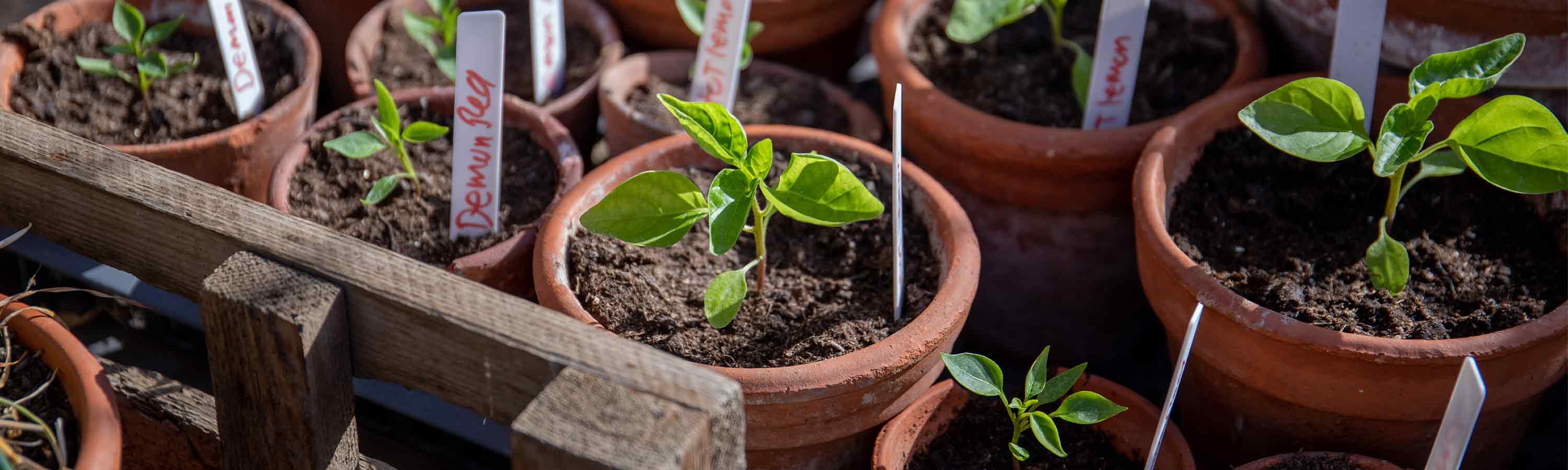 Potting & Propagation Range | Buy Propagation & Potting Equipment ...