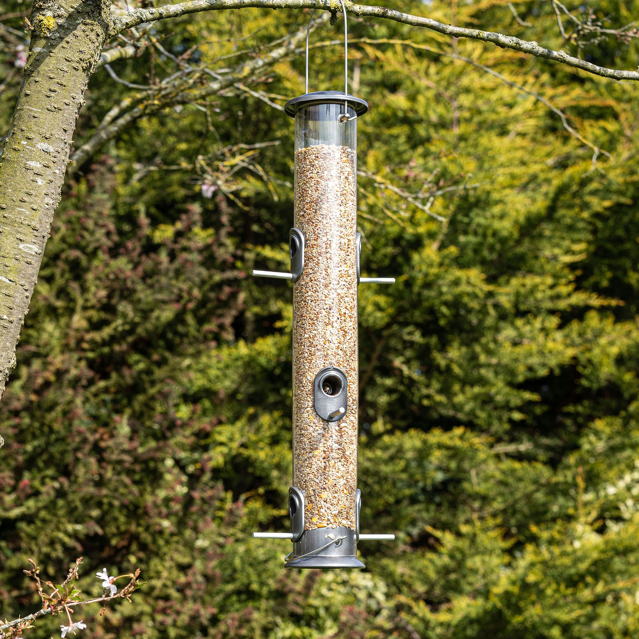Peckish All Weather Giant Seed Feeder | Marshalls Garden