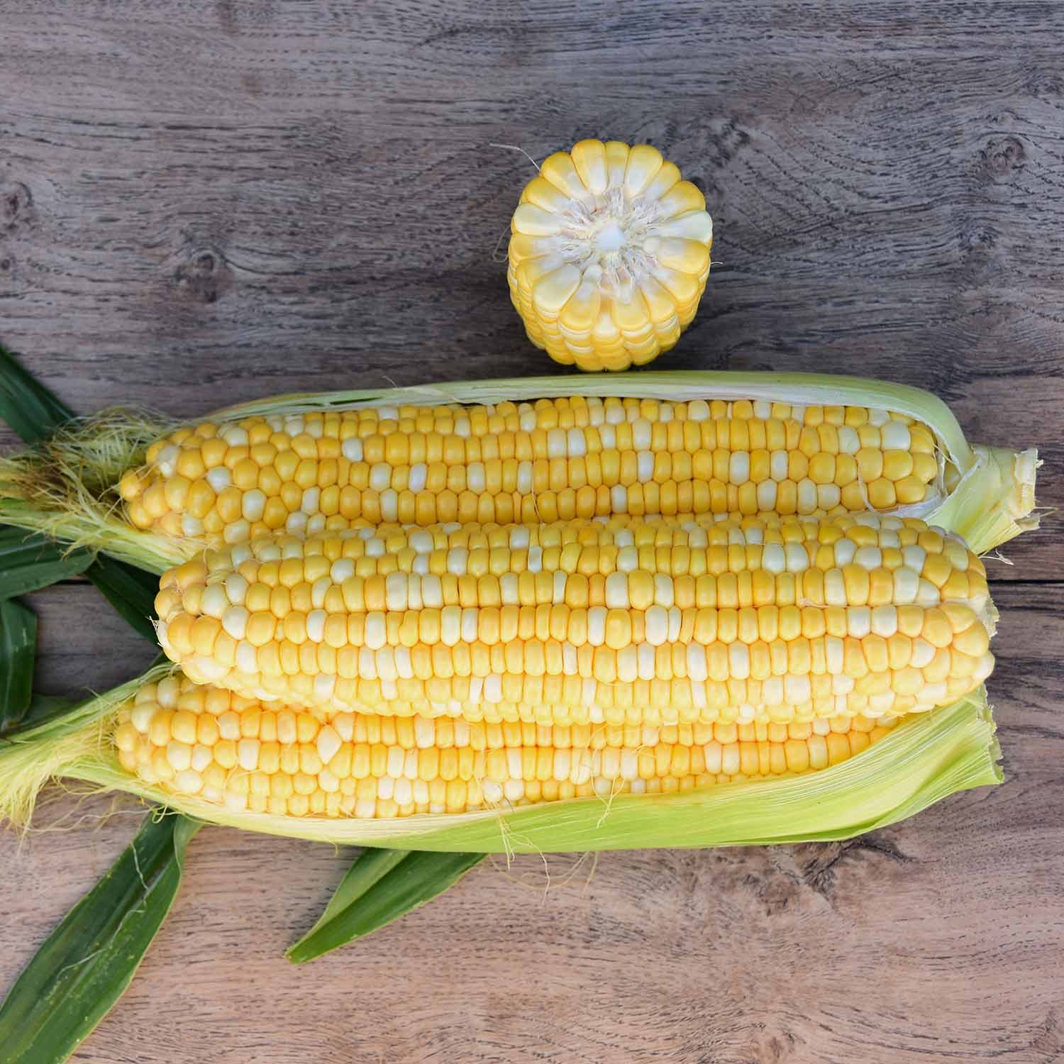 Sweetcorn Plant 'Kiewa' | Marshalls Garden