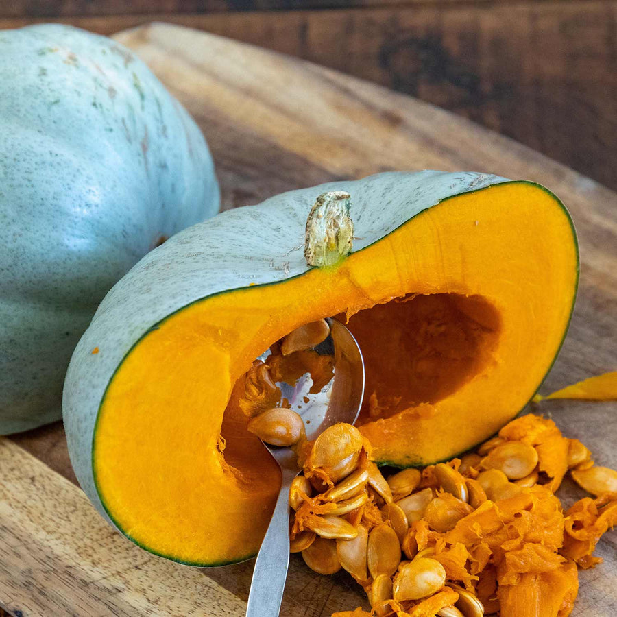 Pumpkin Seeds 'Crown Prince' | Buy Pumpkin Seeds Online | Pumpkin Seeds ...