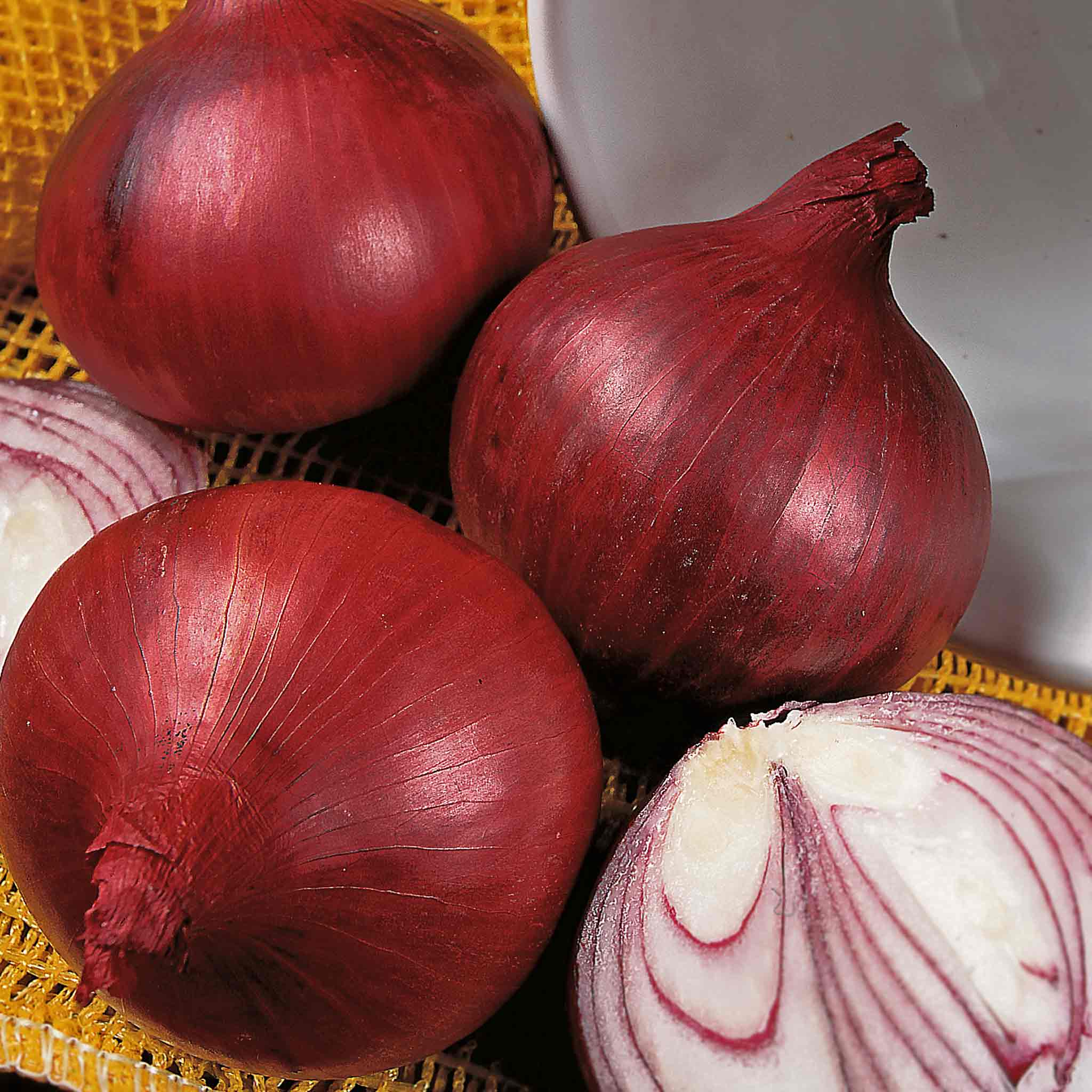 Onion Seeds 'Red Baron' F1 | Marshalls Garden