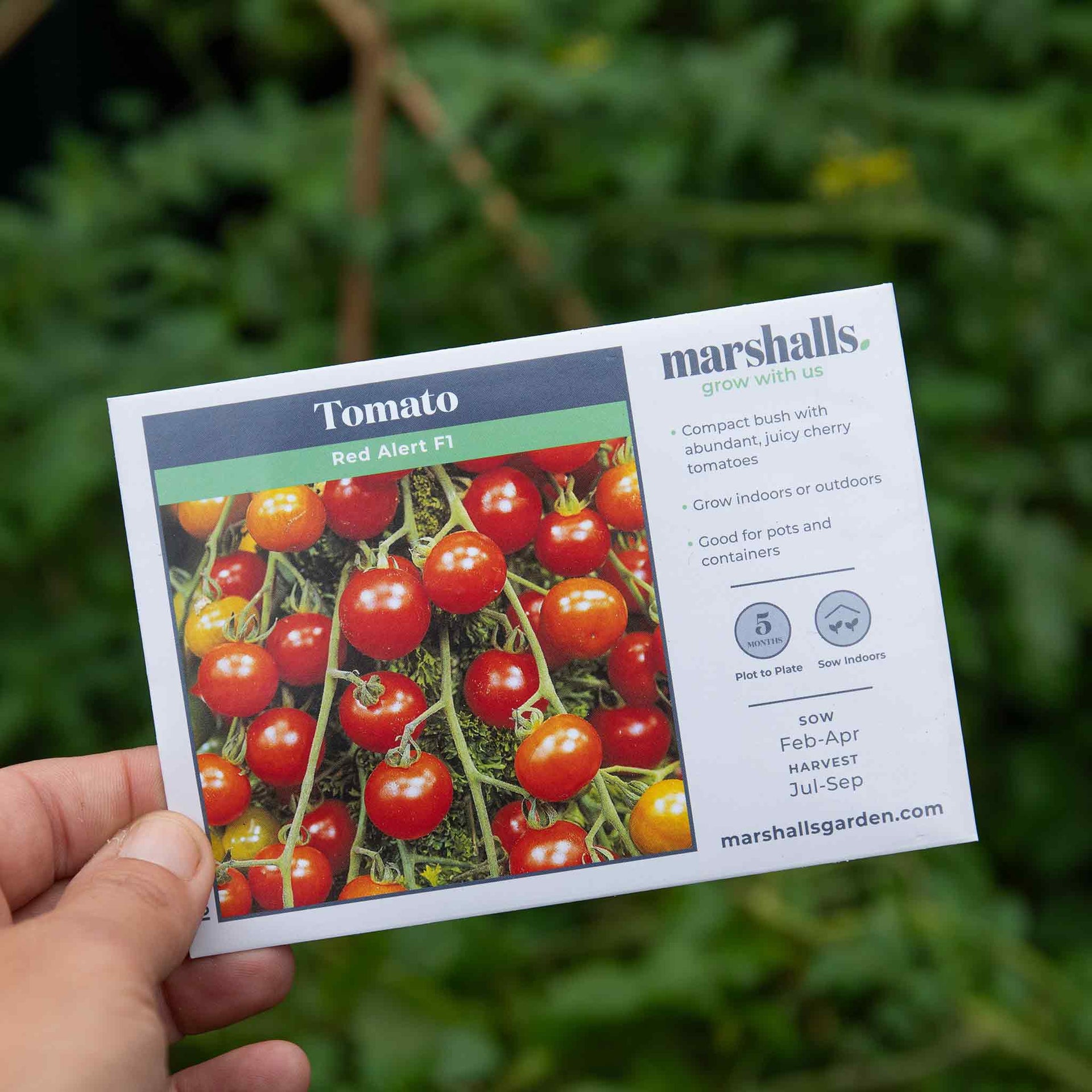 Tomato Seeds 'Red Alert' F1 | Buy Tomato Seeds Online | Tomato Seeds ...