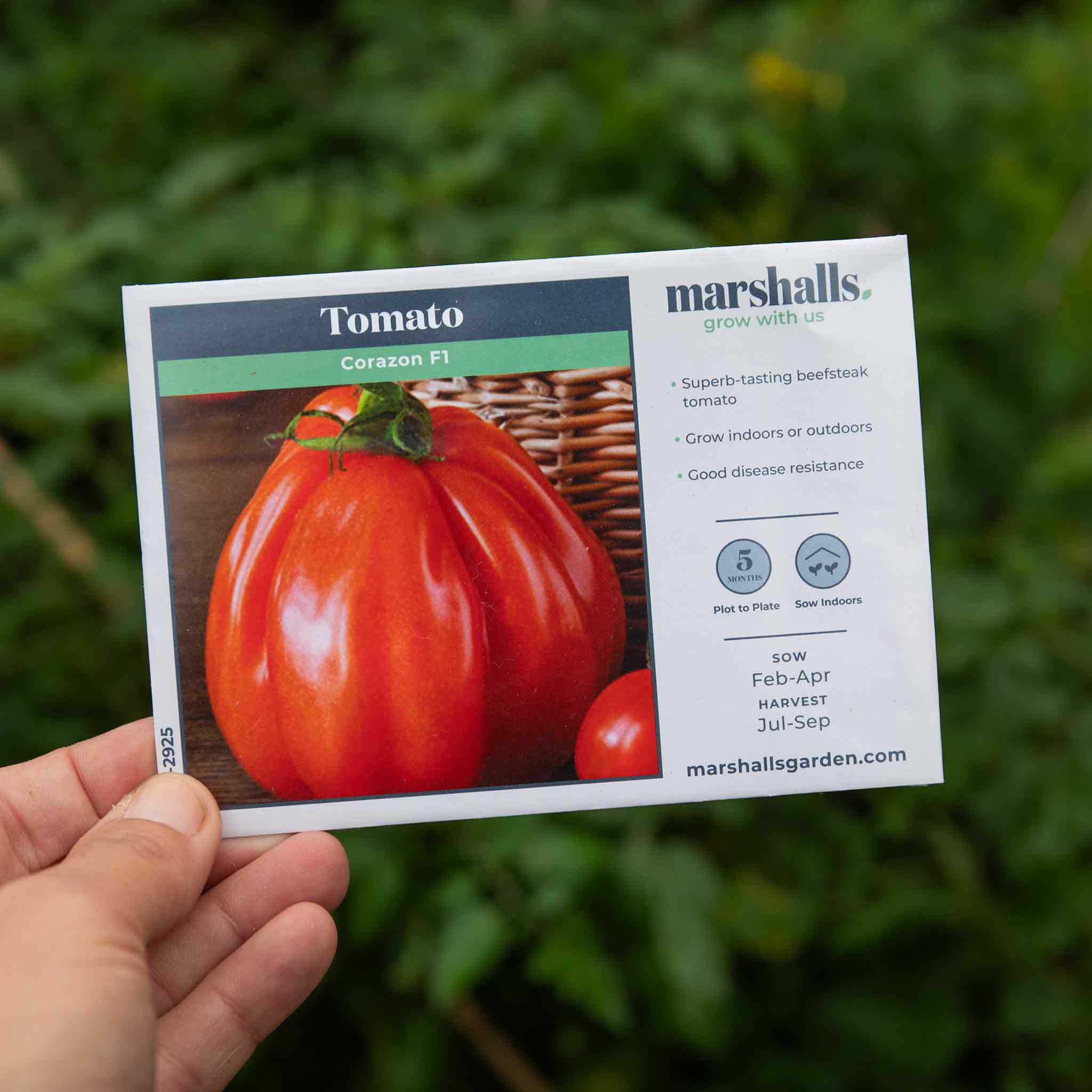 Tomato Seeds 'Corazon' F1 | Buy Tomato Seeds Online | Tomato Seeds for ...