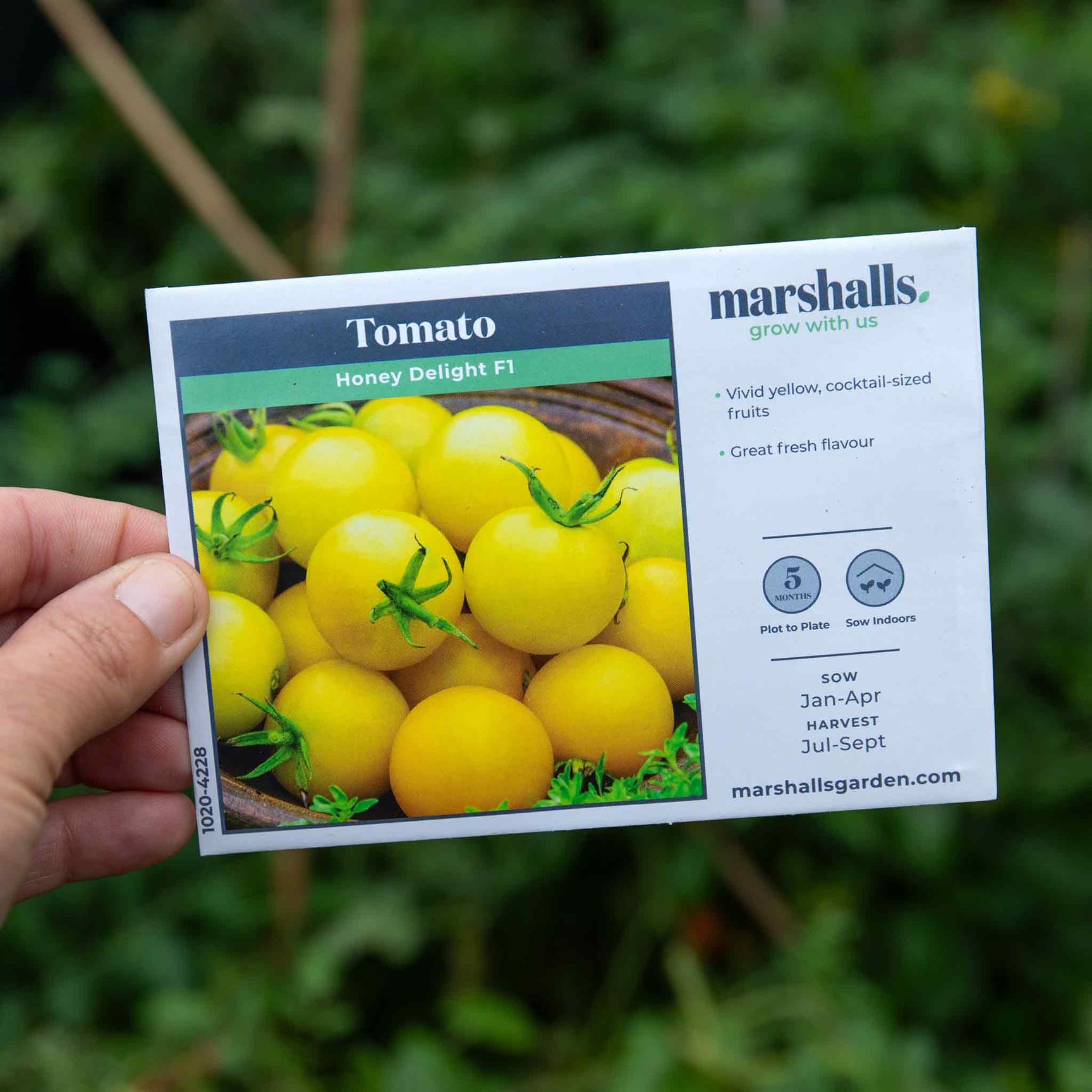 Tomato Seeds 'Honey Delight' F1 | Buy Tomato Seeds Online | Tomato ...