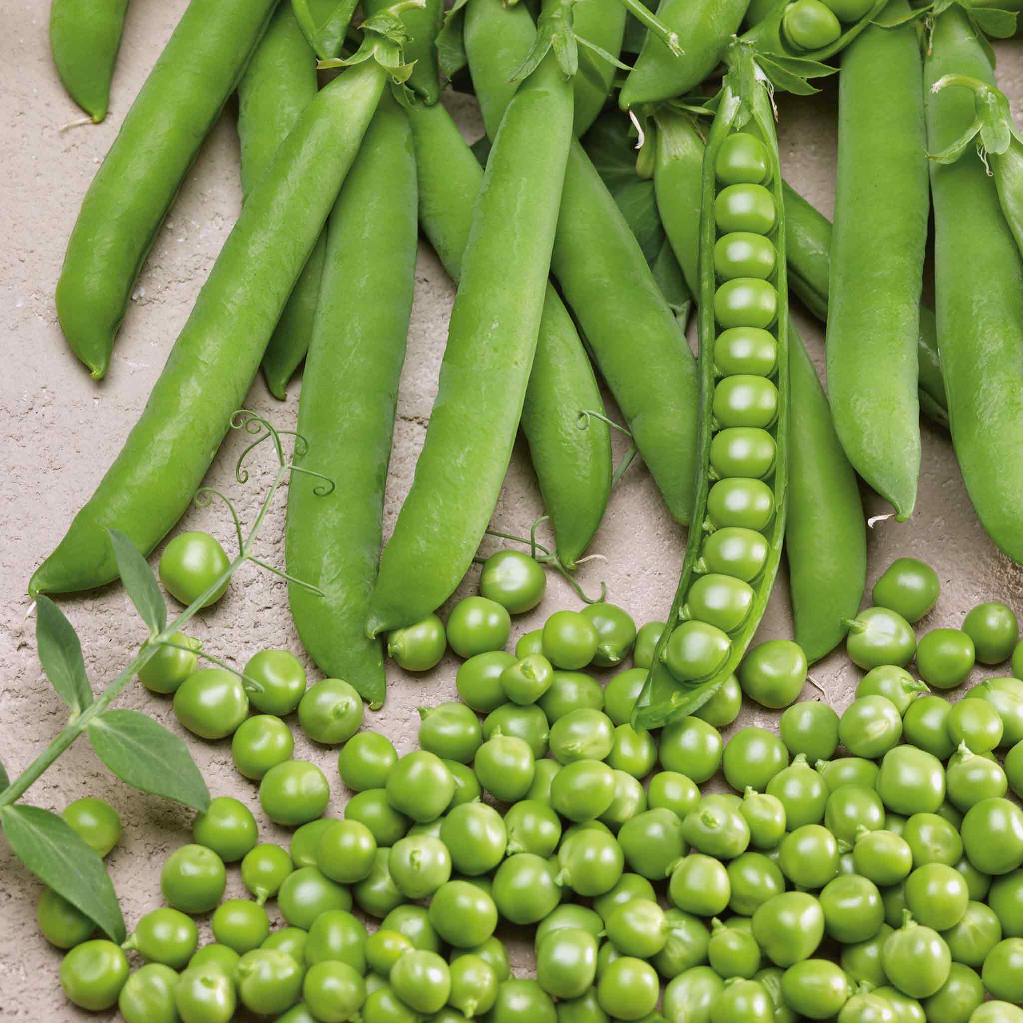 Pea Seeds 'Hurst Green Shaft' | Buy Pea Seeds Online | Pea Seeds for ...