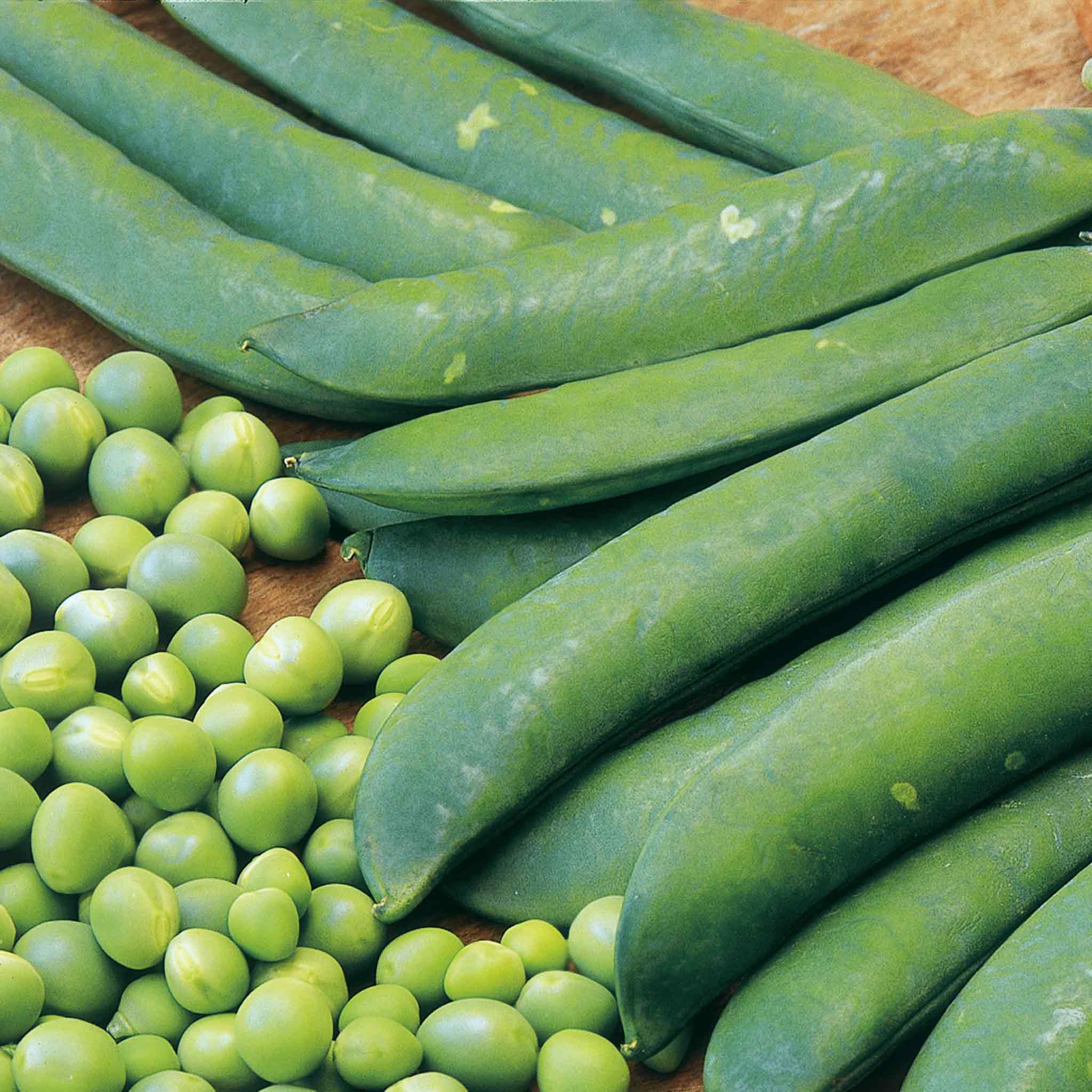 Pea Seeds 'Onward' | Marshalls Garden
