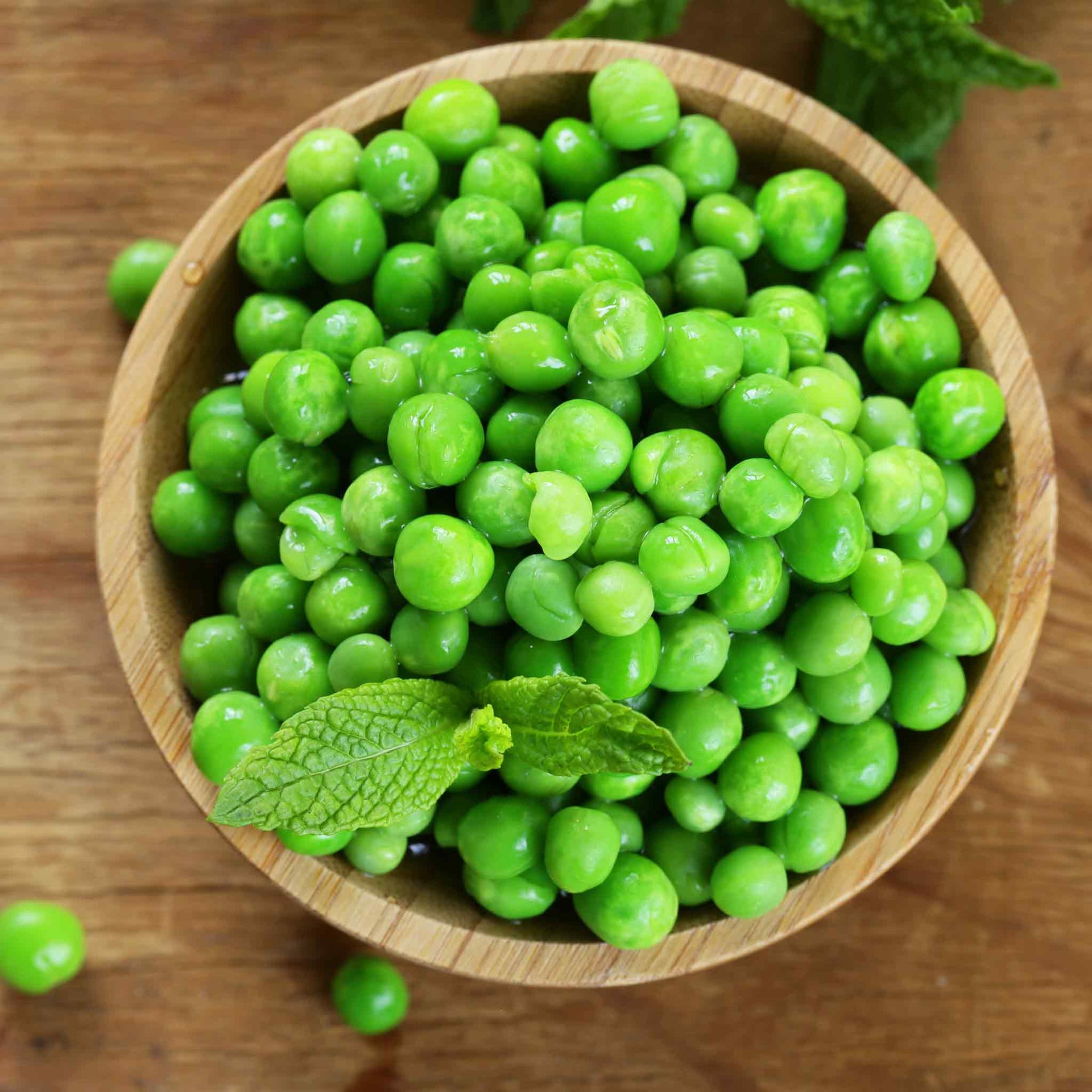 Pea Seeds 'Prelado' | Buy Pea Seeds Online | Pea Seeds for Sale ...