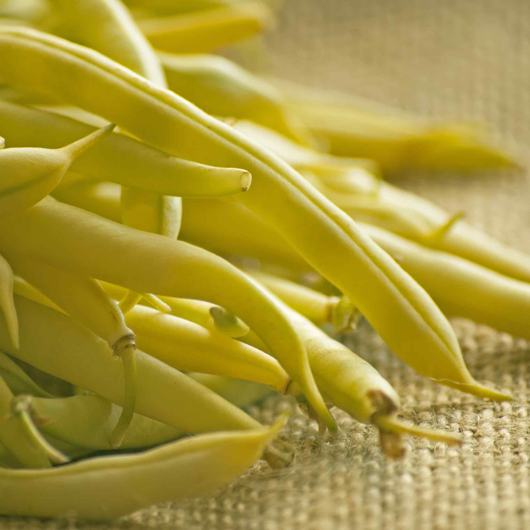 Dwarf French Bean Seeds 'Dorado' | Buy Dwarf French Bean Seeds Online ...