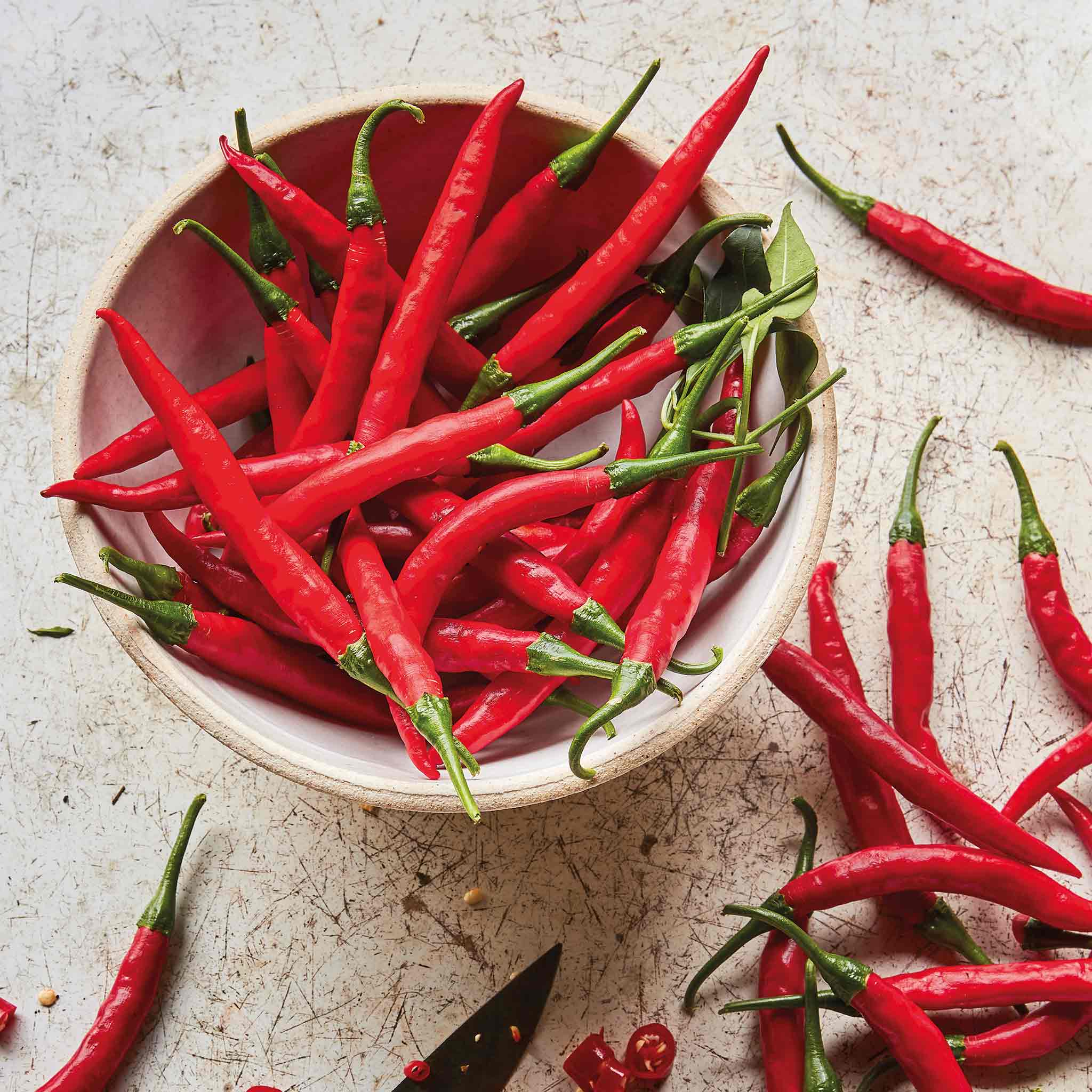 Chilli Plant 'Reggae' | Marshalls Garden