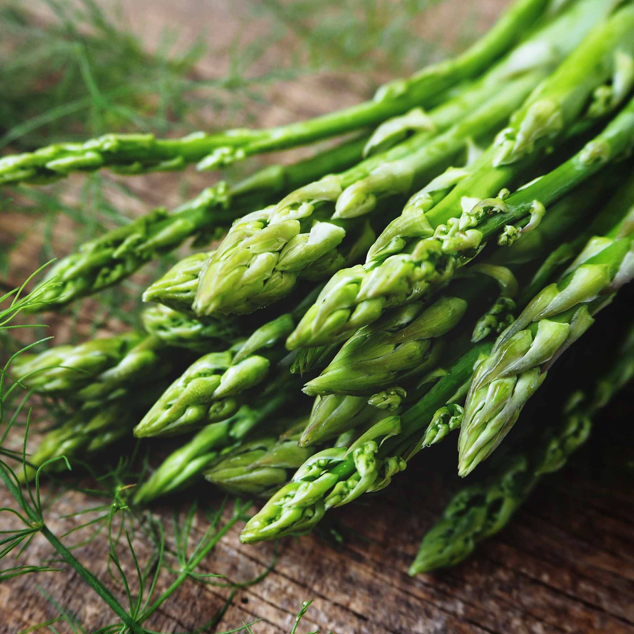 Asparagus Crown 'Bacchus' | Marshalls Garden