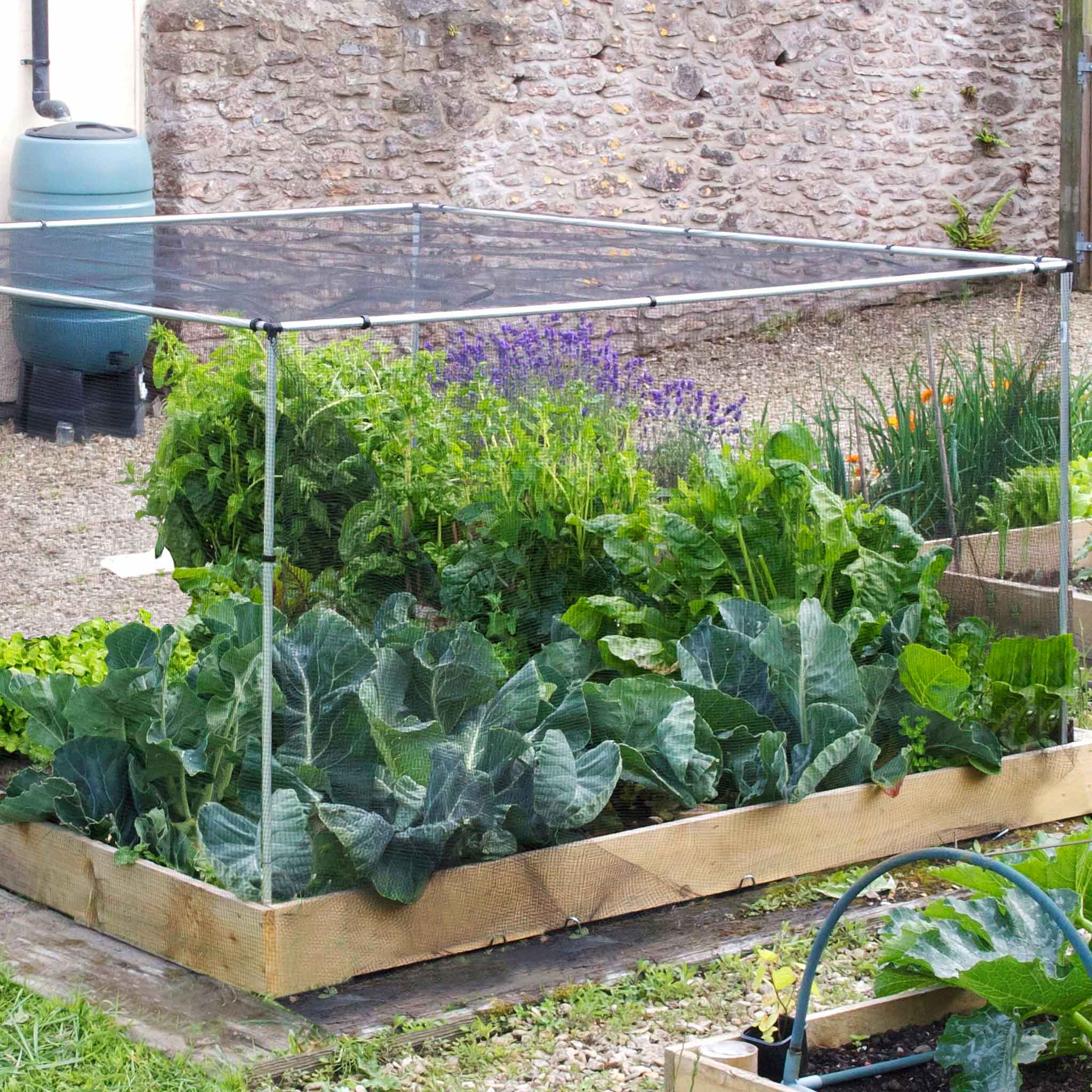 Cage Starter Kit | Marshalls Garden