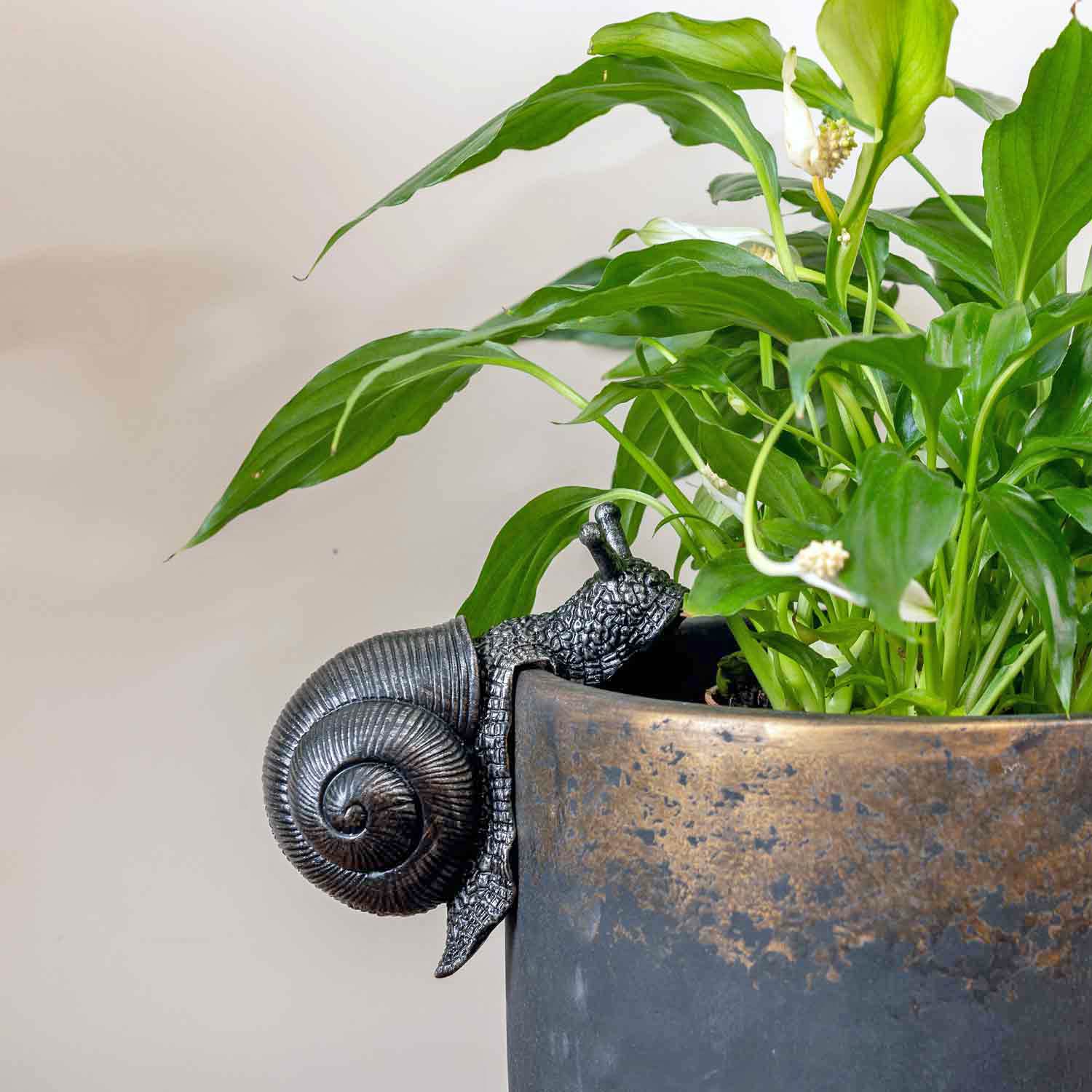 Snail Pot Buddy | Marshalls Garden