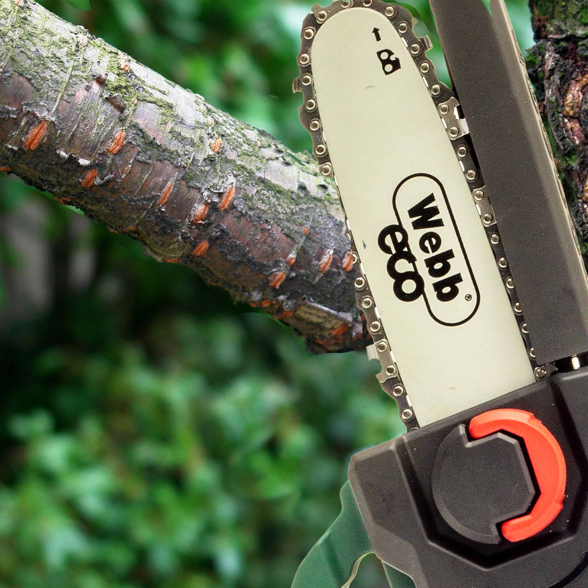 Webb Eco 20V 15cm Cordless Pruning Saw with 2AH Battery & Charger ...