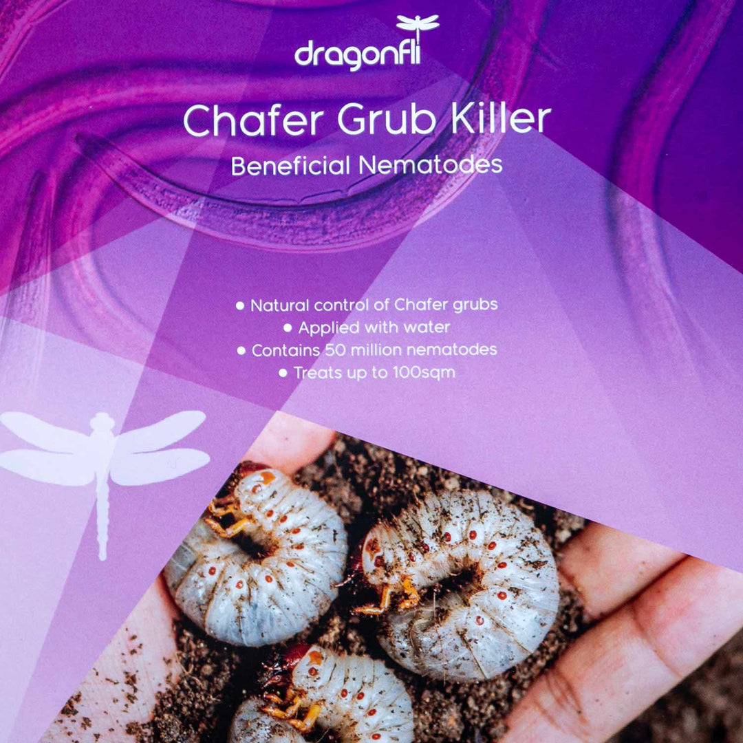 DragonFli Chafer Grub Killer Nematodes - 100sqm | Buy Pest Control Online | Marshalls Garden