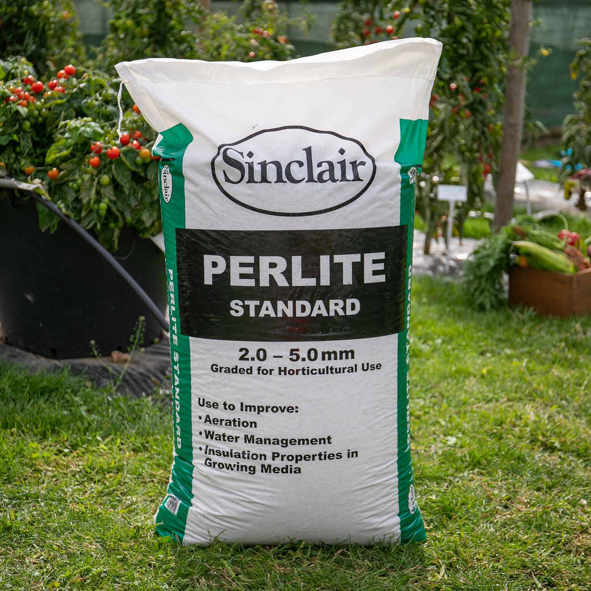 Sinclair Perlite 100L Bag | Buy Perlite Online | Perlite for Sale ...