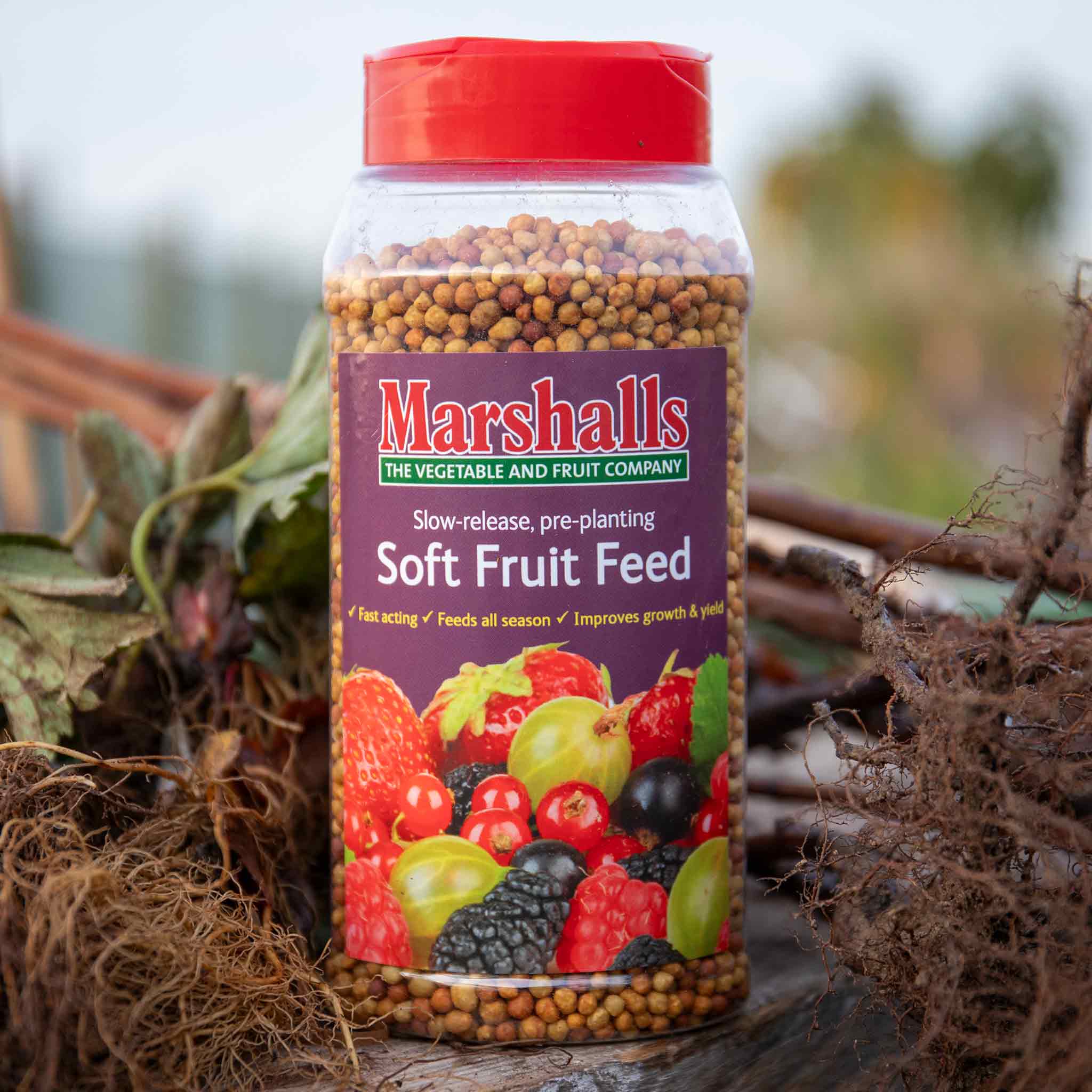 Concentrated Slow Release Soft Fruit Feed Granules | Marshalls Garden