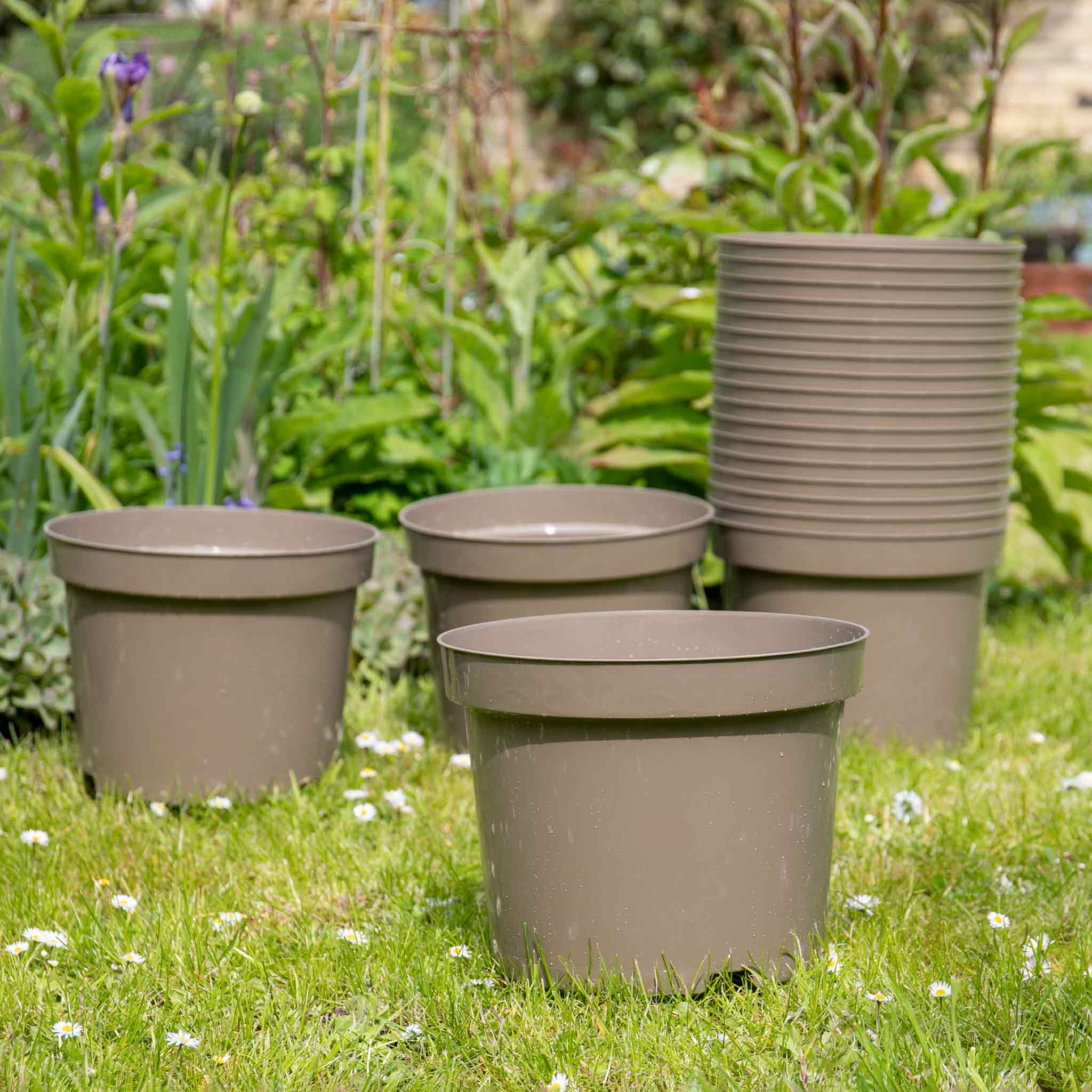 Taupe-Grey Plastic Plant Pots - 5 x 10 Litre | Marshalls Garden