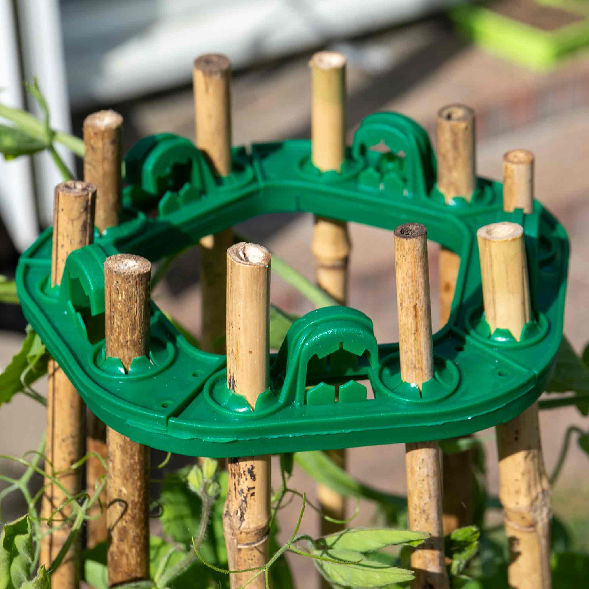 Universal Cane Support | Marshalls Garden