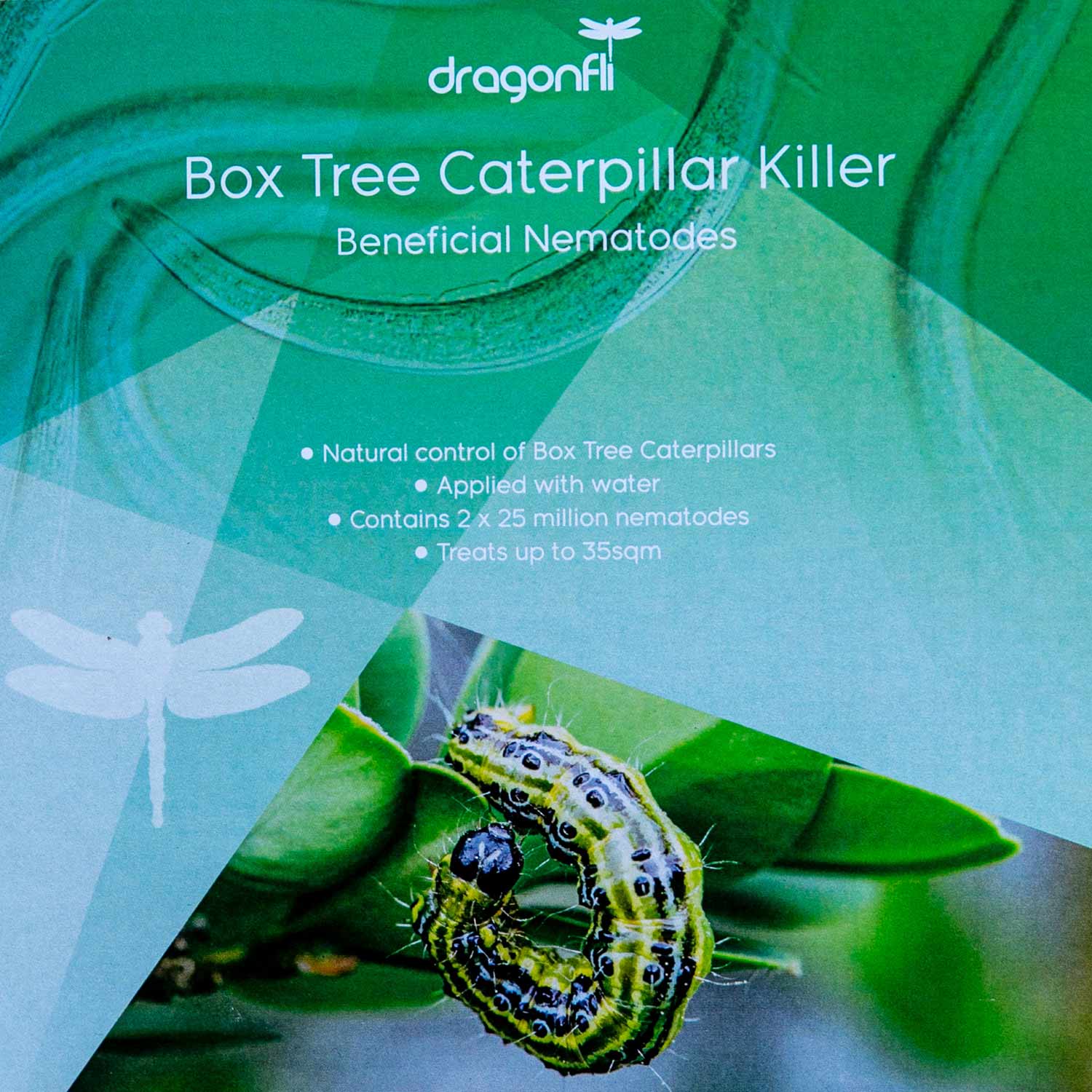DragonFli Box Tree Caterpillar Killer Nematodes - 70sqm | Buy ...