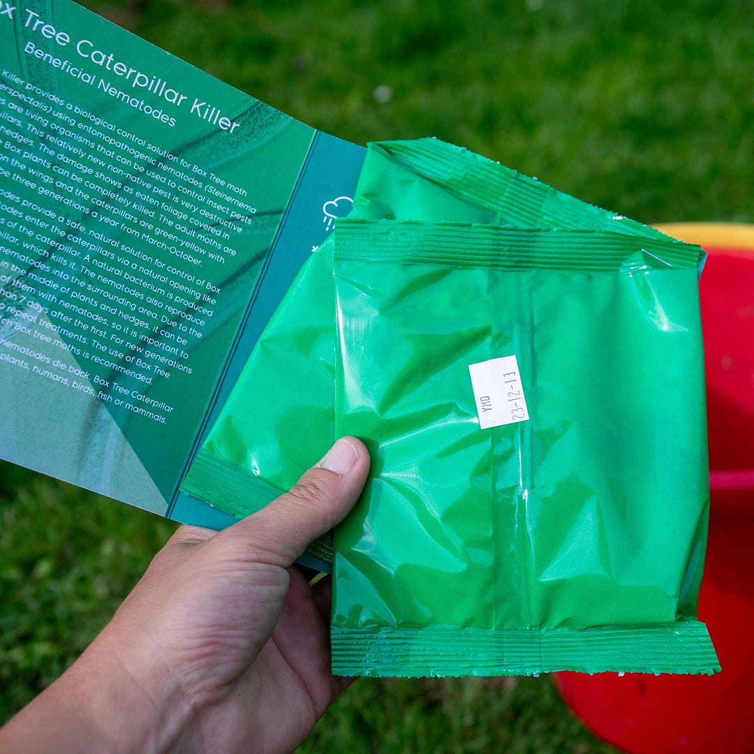 DragonFli Box Tree Caterpillar Killer Nematodes - 70sqm | Buy ...