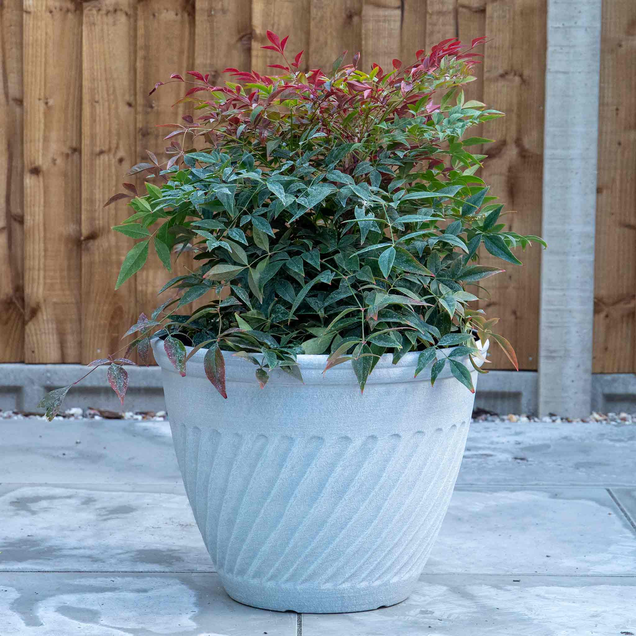 Bali Planter in Distressed Cedar 14in - Twin Pack | Marshalls Garden