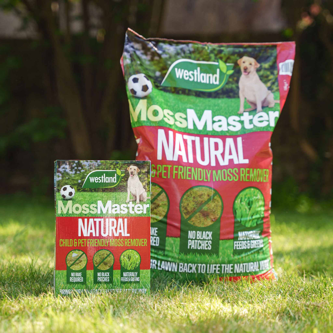Westland Moss Master | Marshalls Garden
