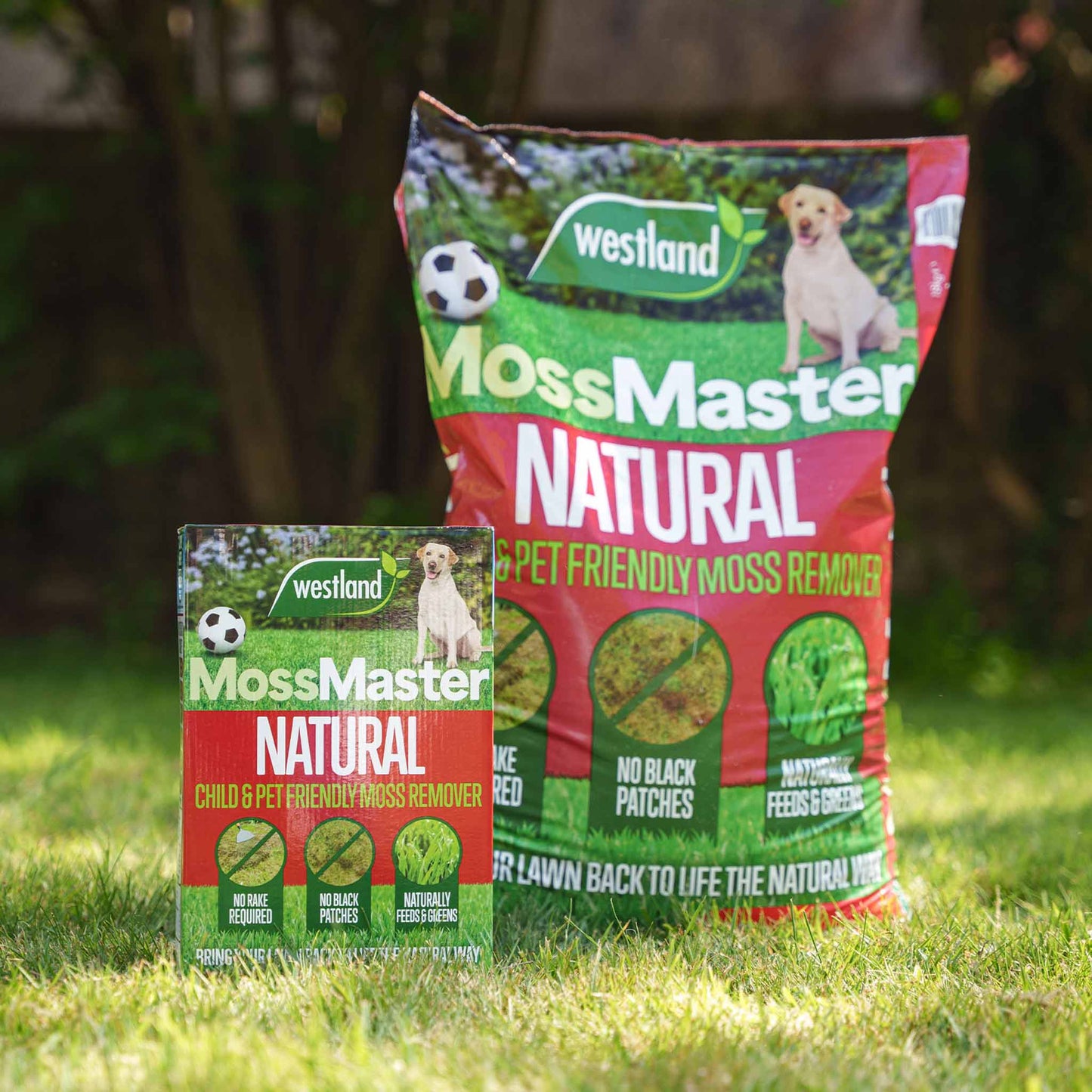 Westland Moss Master | Marshalls Garden