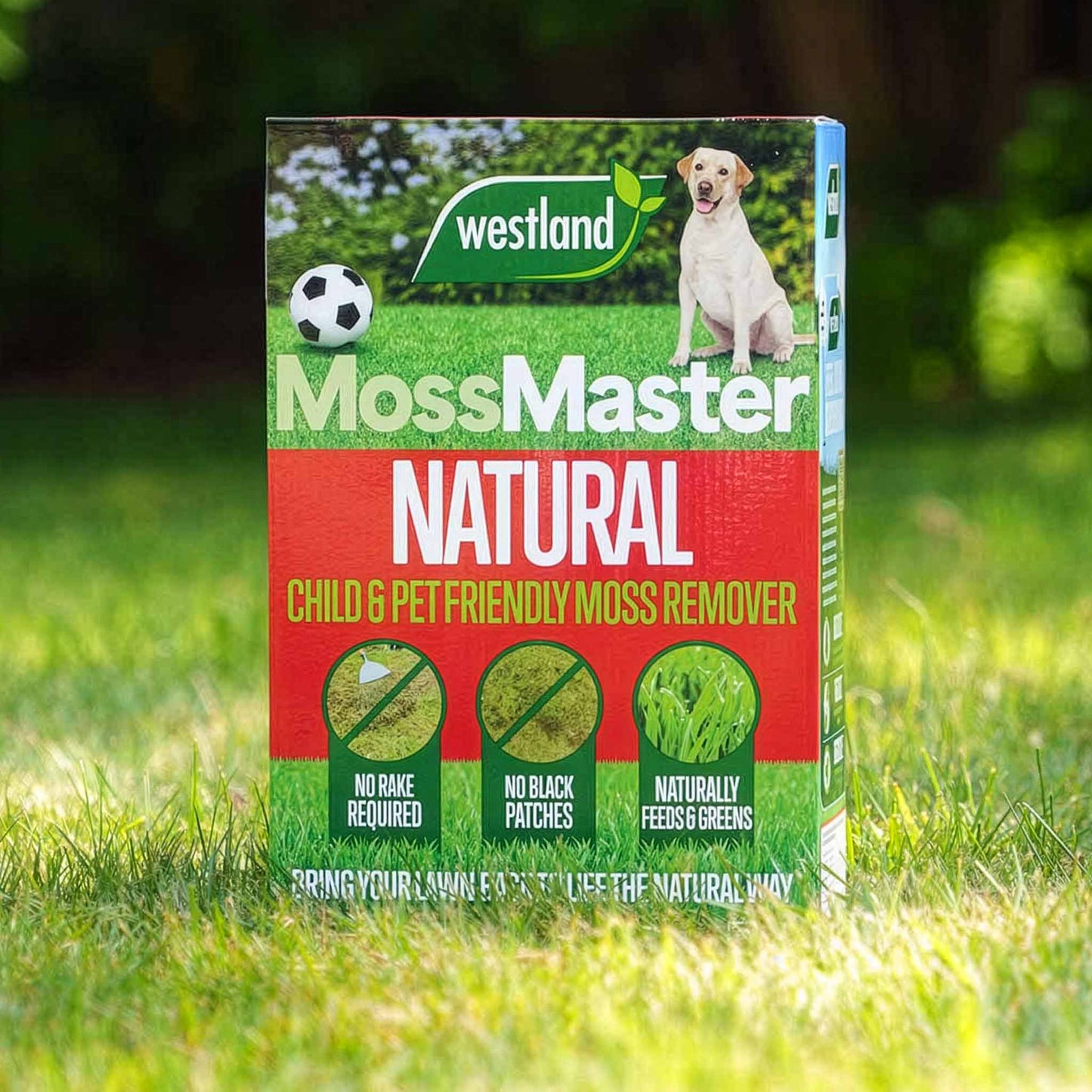 Westland Moss Master | Marshalls Garden