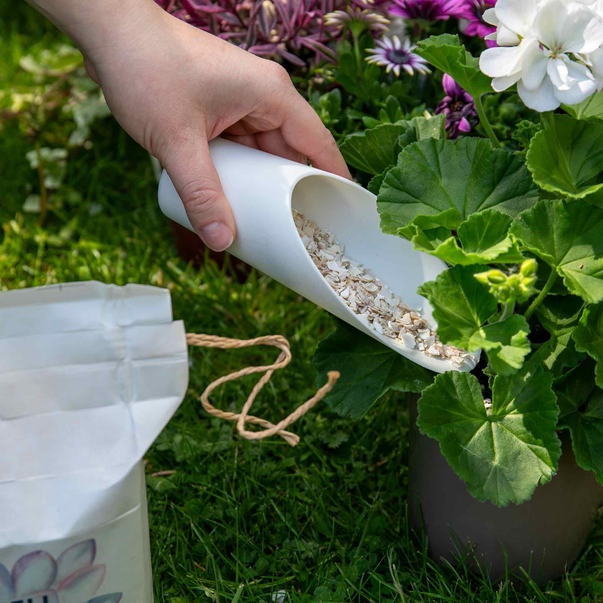 Shell On Earth Potting Scoop | Marshalls Garden