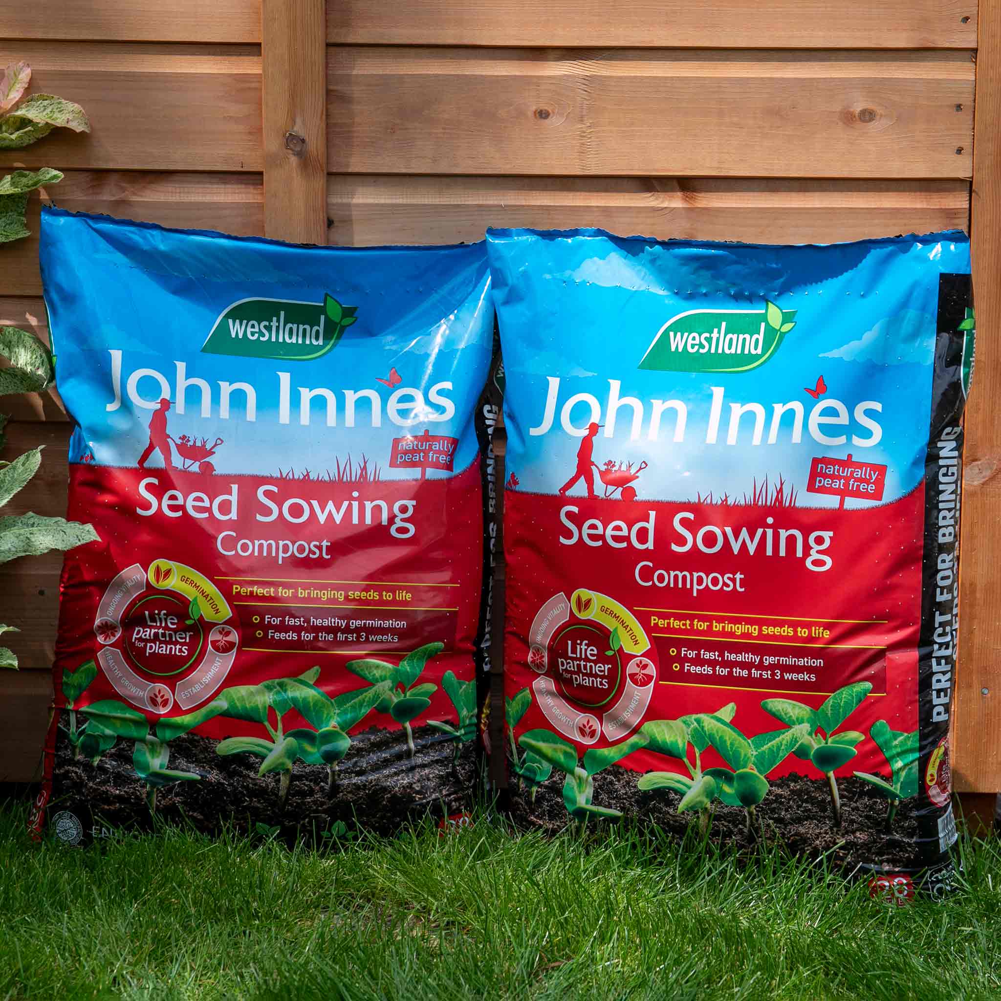 Seed Compost | Buy Seed Compost Online | Organic Peat-Free Seed Compost ...