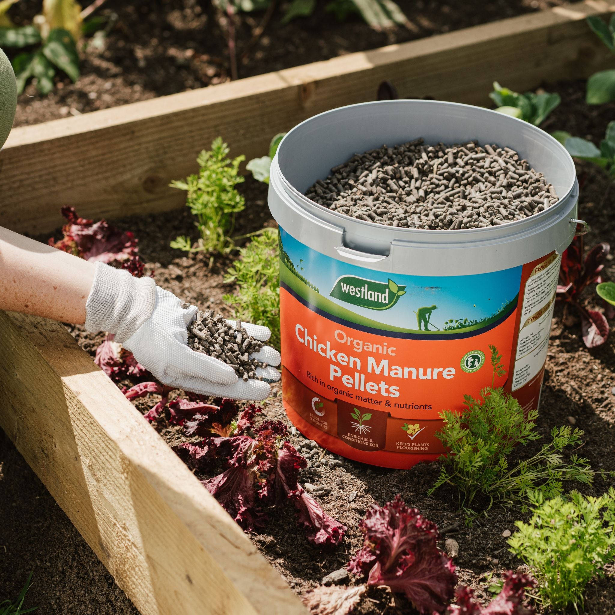 Westland Organic Chicken Manure Pellets | Marshalls Garden