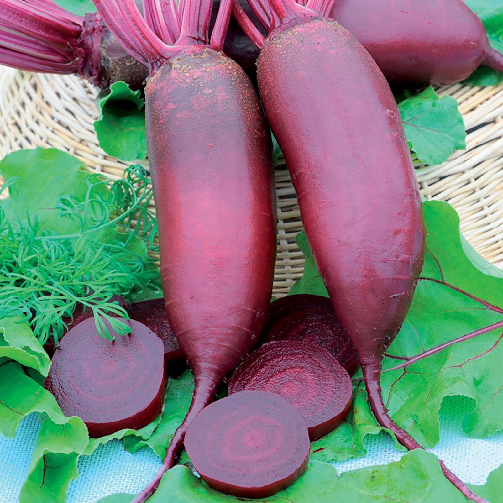 Beetroot Seeds 'Taunus' F1 | Buy Beetroot Seeds Online | Beetroot Seeds ...