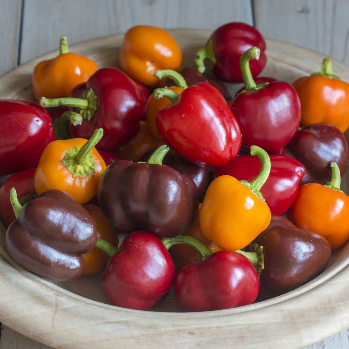 Sweet Pepper Seeds 'Sweetonia Mix' | Buy Sweet Pepper Seeds Online ...